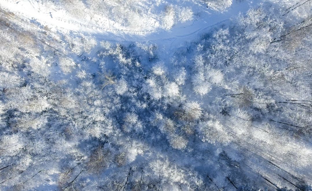Gemeinde Heiligenberg | Vorseite